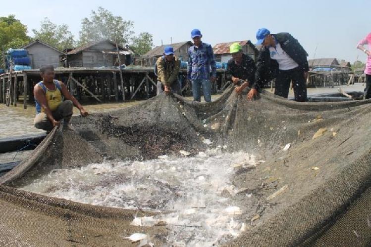 IPM Perikanan Meranti Berada Pada Level Menengah I